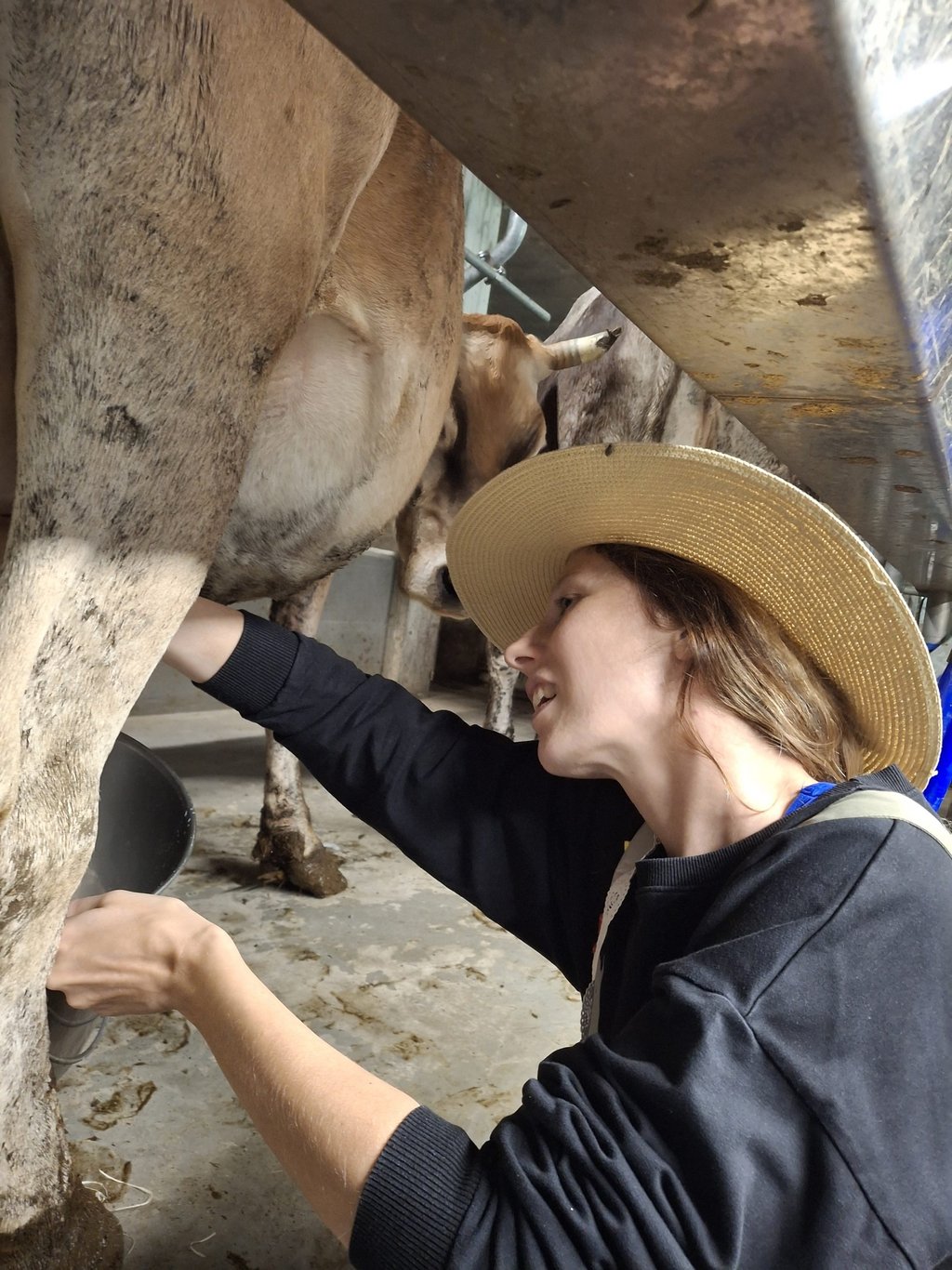 Be a Farmer for a Day: A Hands-On Farm Experience | Smartway